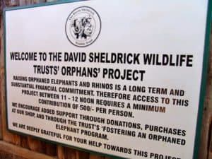 David Sheldrick Wildlife Trust – Where Orphaned Animals Reside in Peace