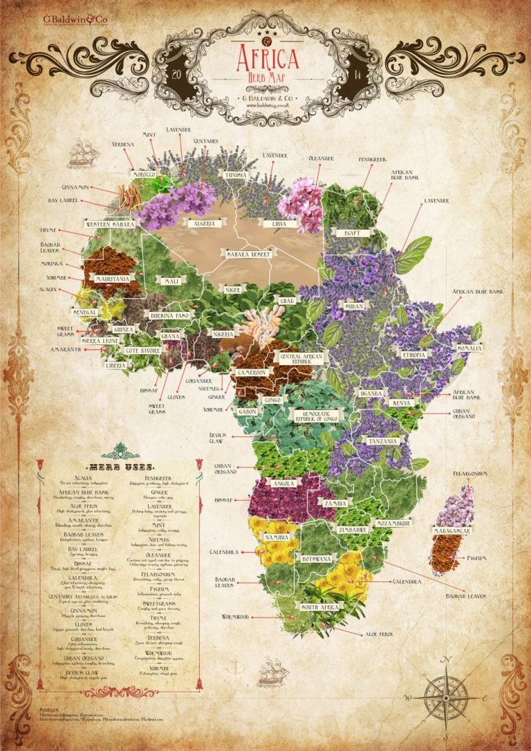 Beautiful and incredibly detailed map shows every herb that grows ...