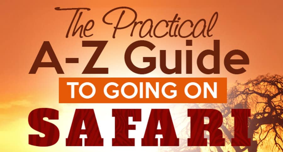 African Safari Guide - Practical A to Z Guide to Going on Safari