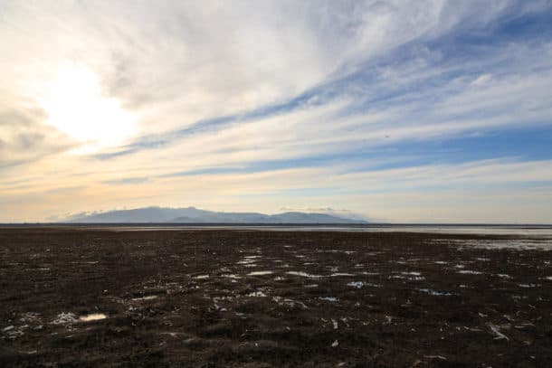 Lake Manyara National Park - The Ultimate Unbiased Guide