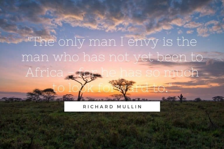77 Famous Safari Quotes That Will Inspire You to Travel Africa