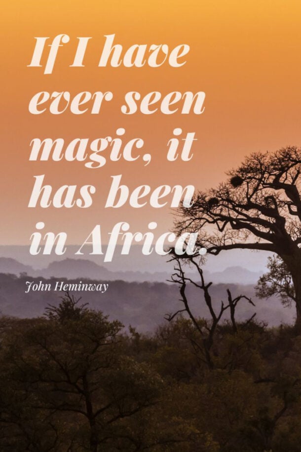 77 Famous Safari Quotes That Will Inspire You to Travel Africa