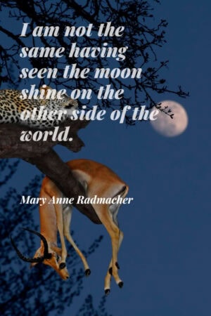 77 Famous Safari Quotes That Will Inspire You to Travel Africa