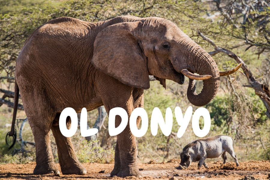 ol Donyo Lodge Live Cam - Live African Wildlife Webcam